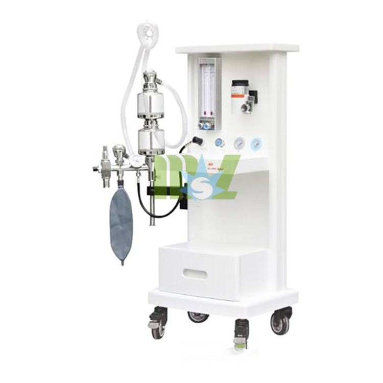 halothane-anesthesia