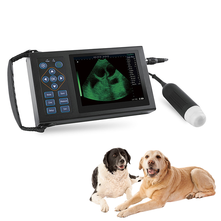 Handheld veterinary Pet ultrasound scanner Mechanical vet ultrasound ...