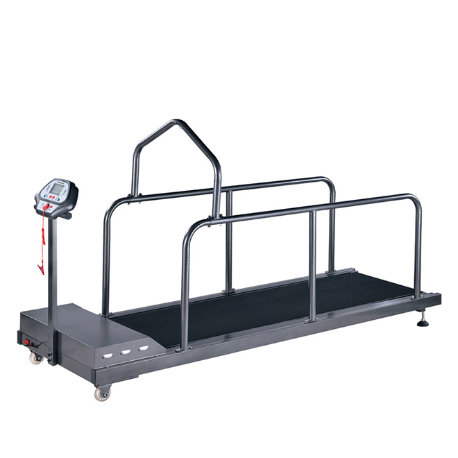 Electric-treadmills-MSL-C400-for-animal